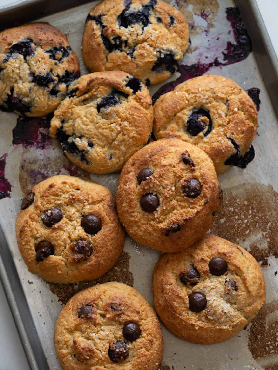 Cottage Cheese Cookies - The flavours of kitchen